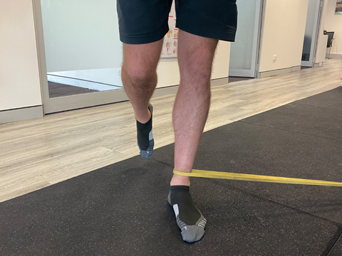 Physio Rehab - Online Programs, Courses, Education Videos and Exercises