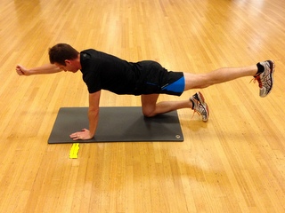 Physio Rehab | Exercise Library | Lumbar Spine + Core