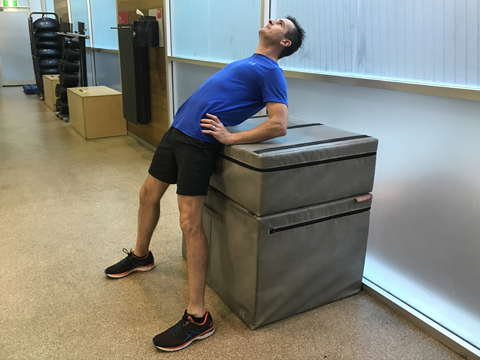 Physio Rehab | Exercise Library | Lumbar Spine + Core
