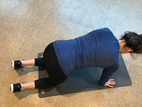 Physio Rehab | Exercise Library | Lumbar Spine, SIJ and Core