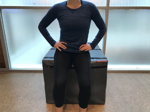 Physio Rehab | Exercise Library | Lumbar Spine, SIJ and Core