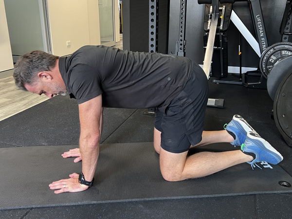 Physio Rehab | Exercise Library | Shoulder Joint and Rotator Cuff