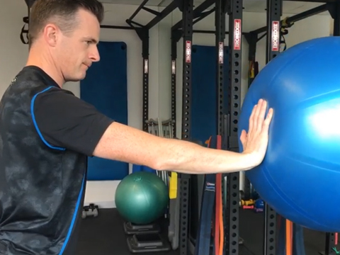 Physio Rehab | Exercise Library | Shoulder Joint and Rotator Cuff