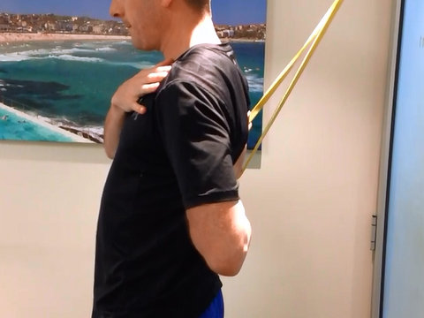 Physio Rehab | Exercise Library | Shoulder + Scapula